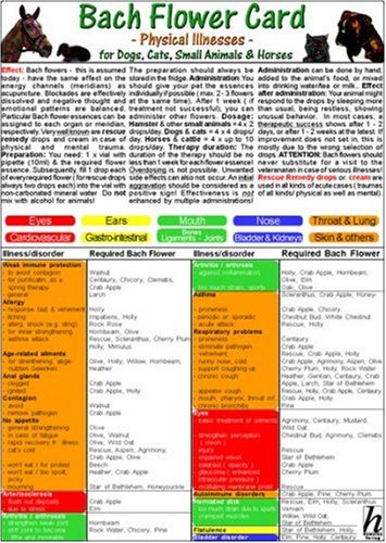 Buy Bach Flower Cards for Dogs, Cats, Small Animals and Horses ...