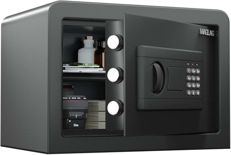 Amazon.com: Home Safes & Safe Accessories - Safes & Safe Accessories ...