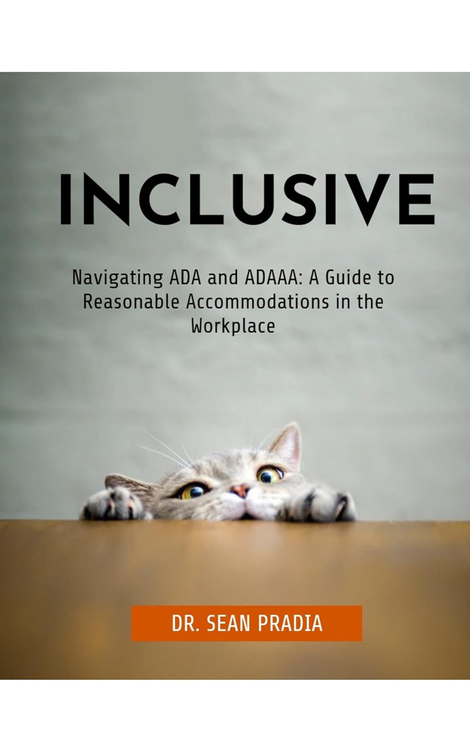 Navigating ADA and ADAAA: A Guide to Reasonable Accommodations in the ...