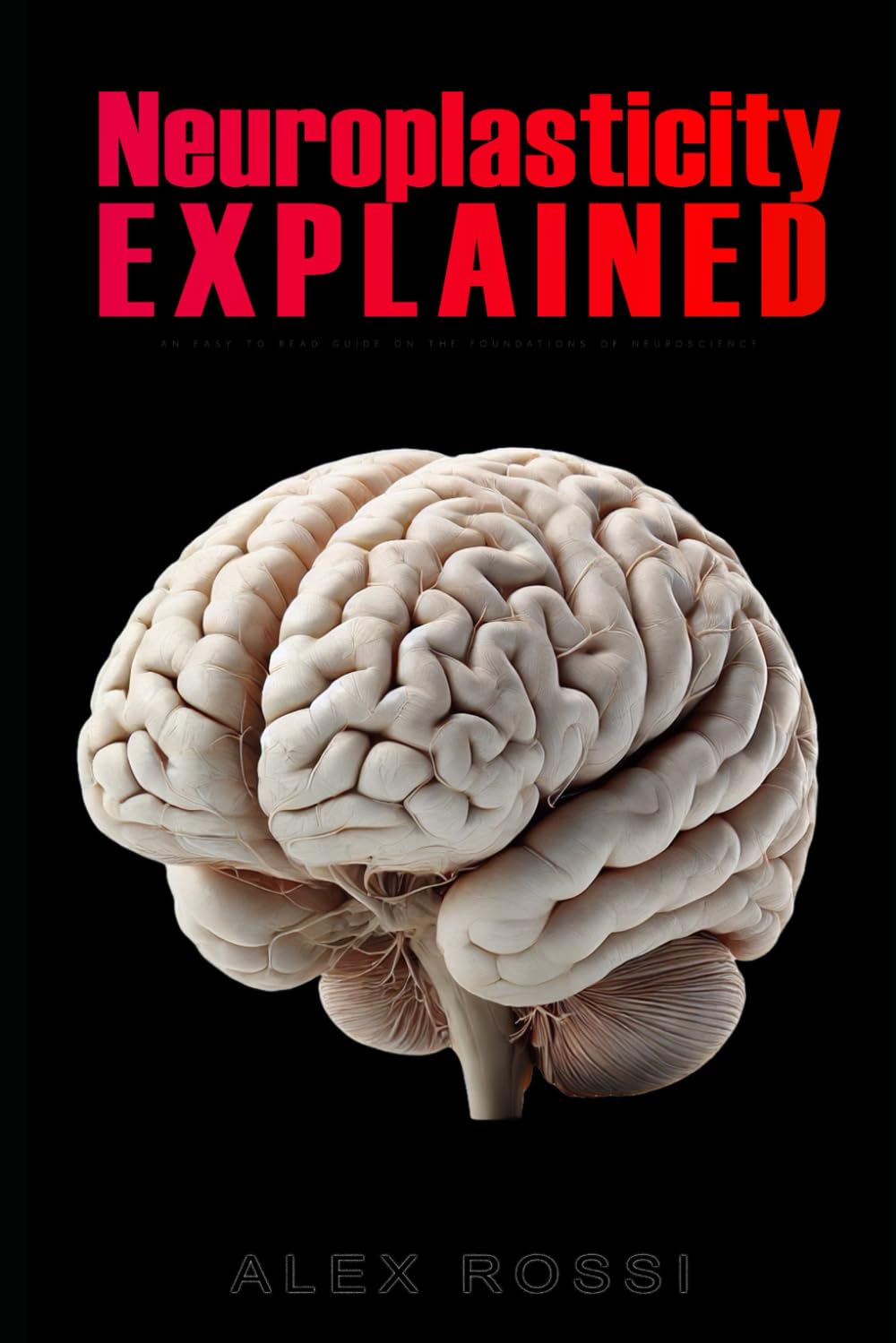 Neuroplasticity Explained: 9798337635057: Medicine & Health Science ...