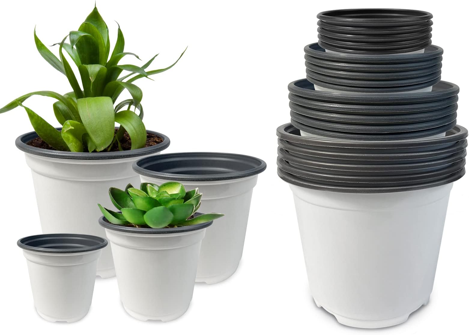 Amazon.com: RAOOKIF 24pcs 3 4 5 6 Inch Nursery Pots Variety Pack ...
