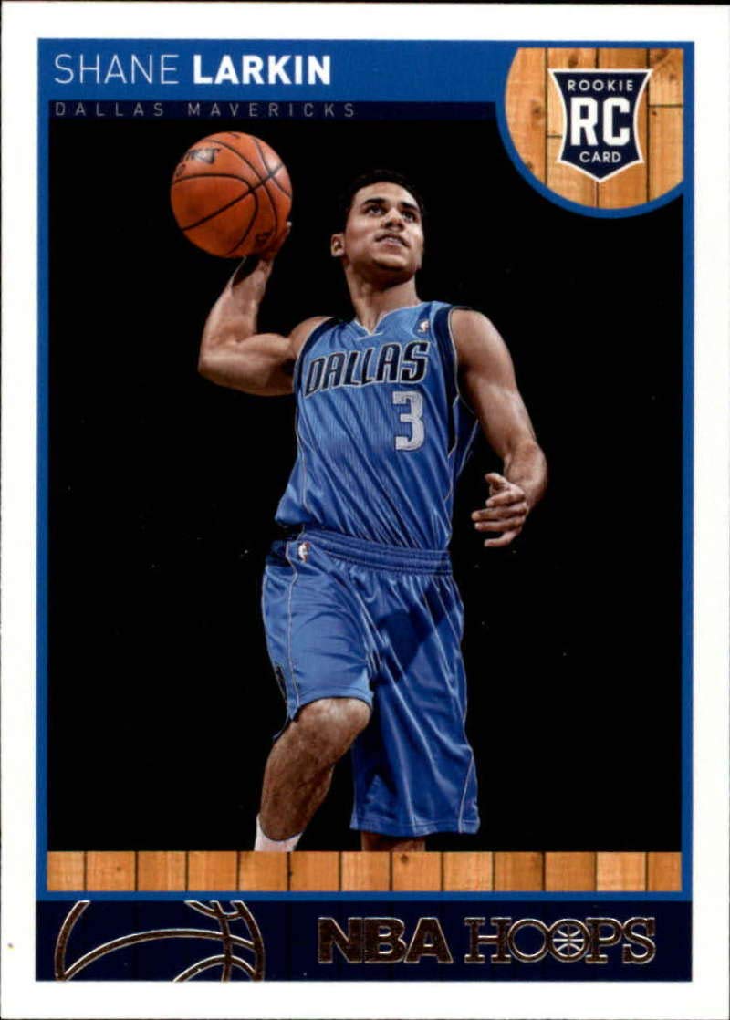 Shane Larkin Nba Mavs