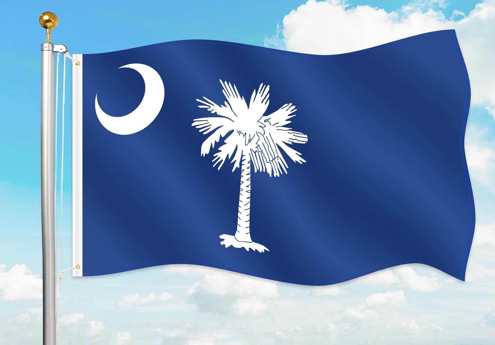 Amazon.com : AZ FLAG South Carolina Flag 2' x 3' - US State of Caroline ...