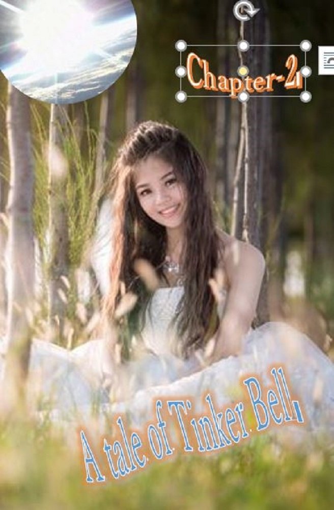 Amazon.com: A tale of Tinker Bell Chapter 2: Tranquil Tinker Bell Case ...