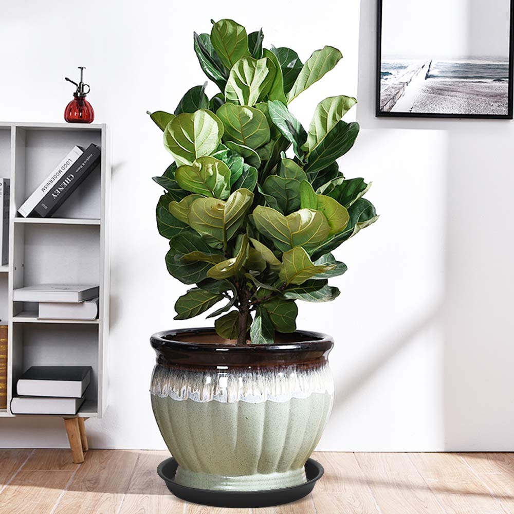 Snapklik.com : 6 Packs 12 Inches Plant Saucer Drip Trays, Suit For Pots ...