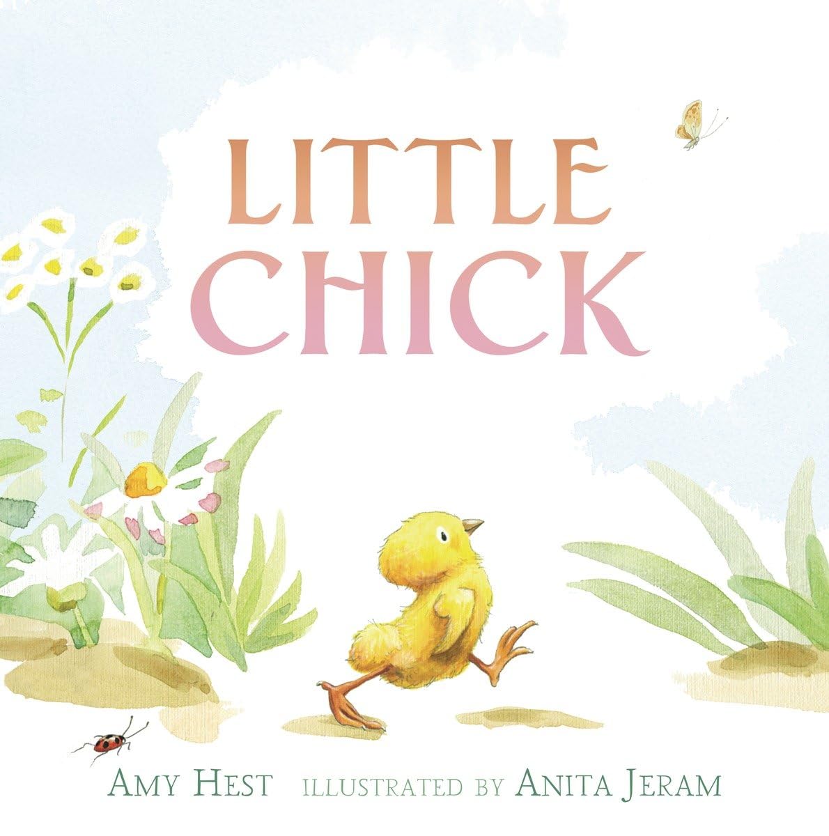Little Chick: Hest, Amy, Jeram, Anita: 9780763628901: Amazon.com: Books