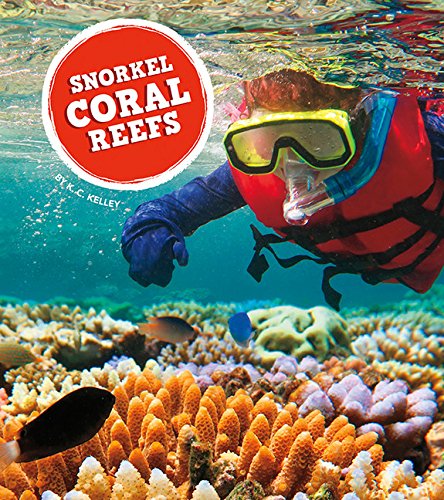 Snorkel Coral Reefs (Amazing Adventures): Kelley, K.C.: 9781681522661 ...