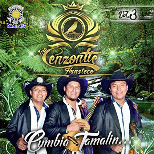 Amazon.com: Cumbia Tamalin : Trío Cenzontle Huasteco: Digital Music