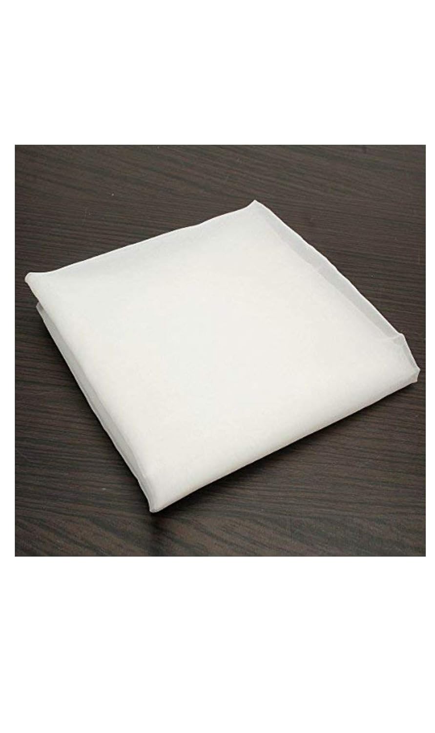 Primecraft 120 Mesh Nylon Solid Fabric Water/Liquid Filter Cloth (White ...