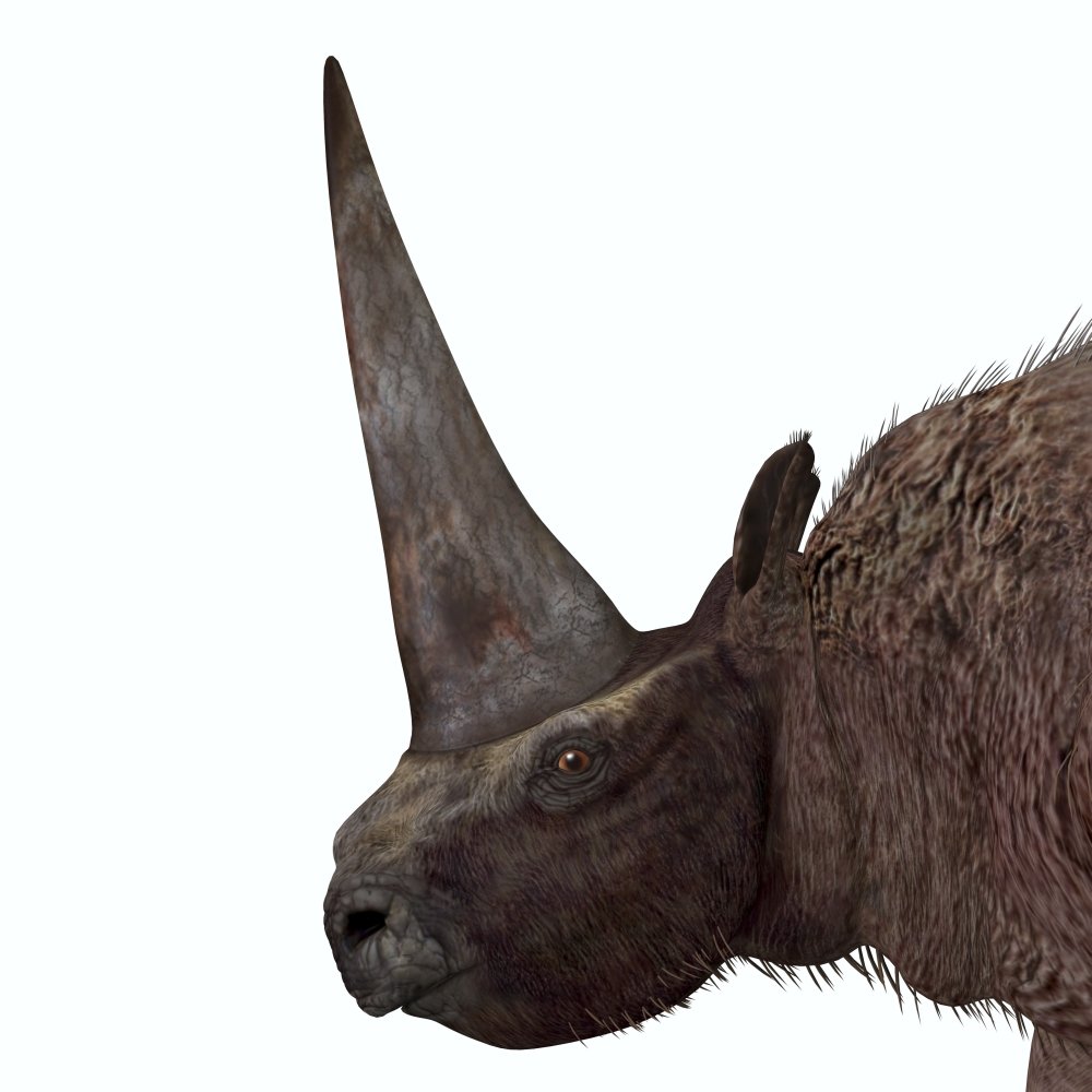 Elasmotherium