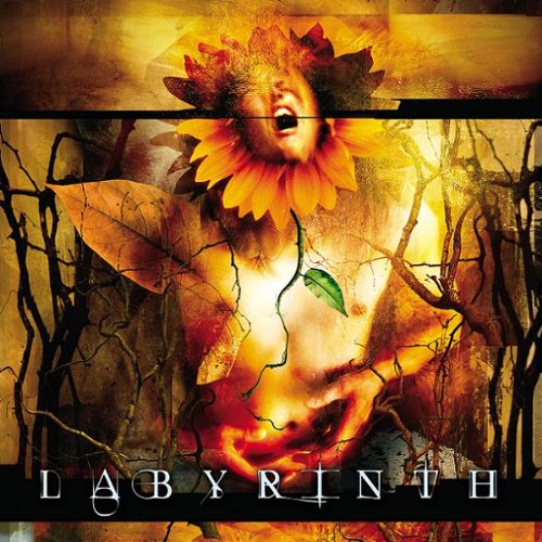 Labyrinth: Amazon.de: Musik-CDs & Vinyl