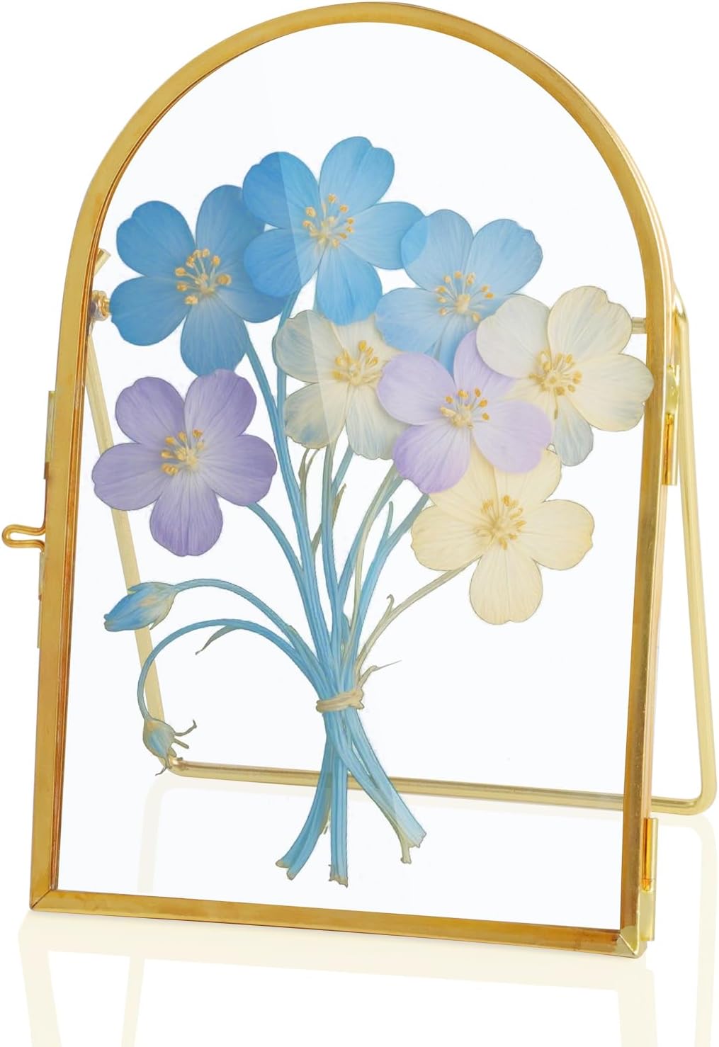 Amazon.com - Himitimi Double Glass Frame for Pressed Flowers, 4x6 Inch ...