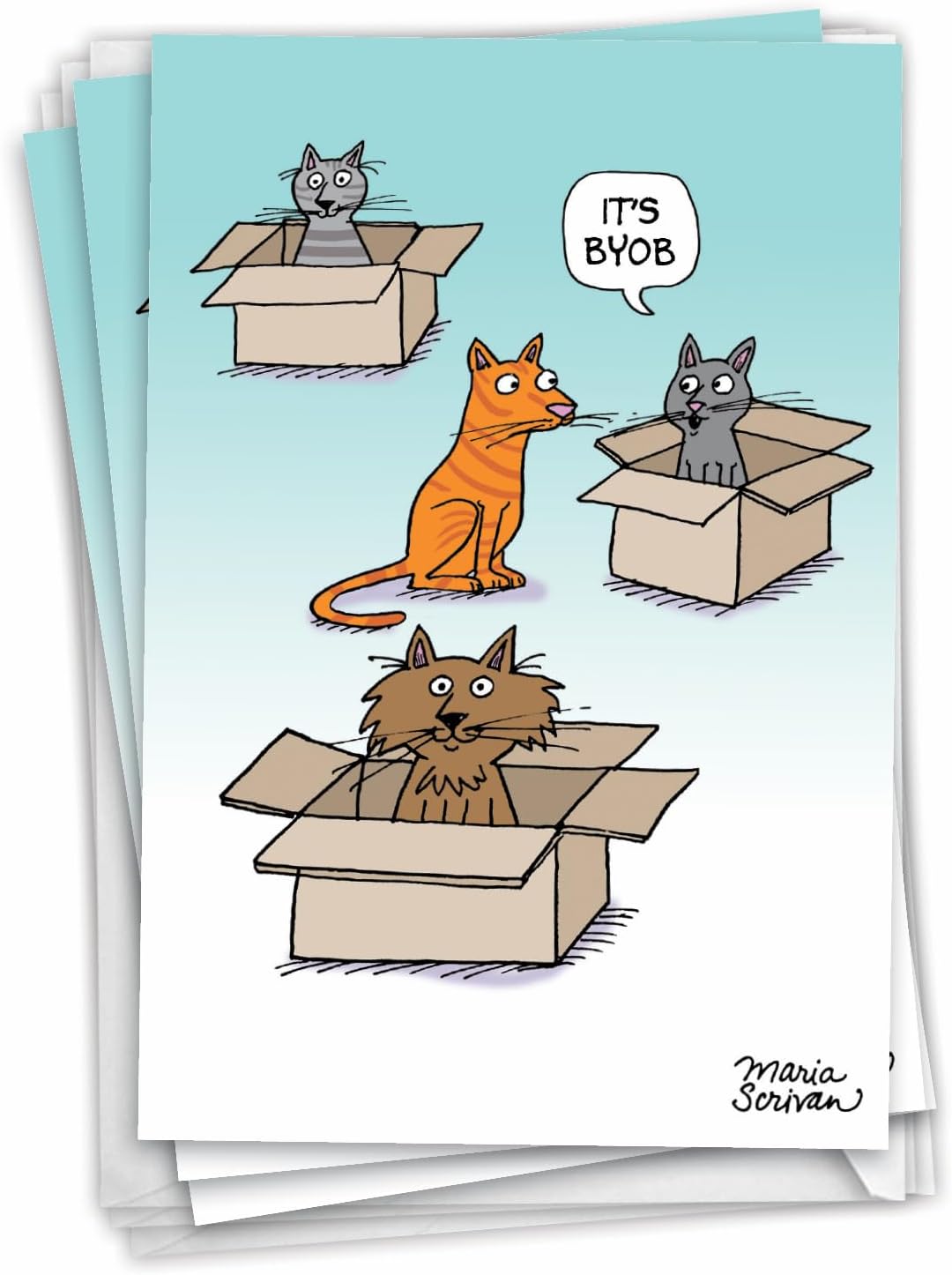 Amazon.com : NobleWorks Pack of 3 Funny Birthday Greeting Cards with ...