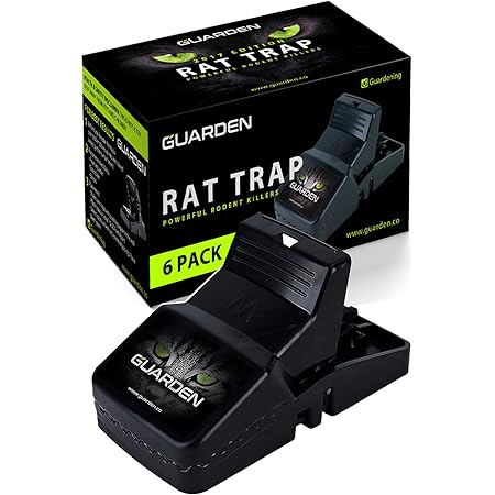 Amazon.com : Kat Sense Rat Traps for House (12 Pack) Humane Rodent Trap ...