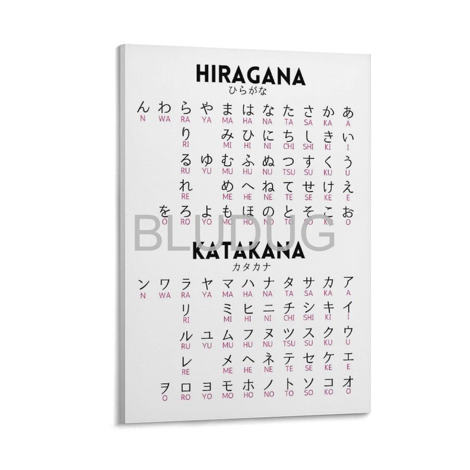 Amazon.com: BLUDUG Hiragana And Katakana Japanese Alphabet Poster ...
