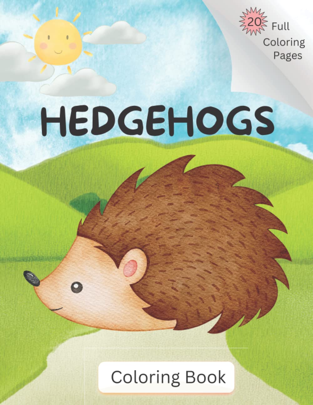 Cute Hedgehog Coloring Book for Kids- Hedgehog Coloring Book: Books ...
