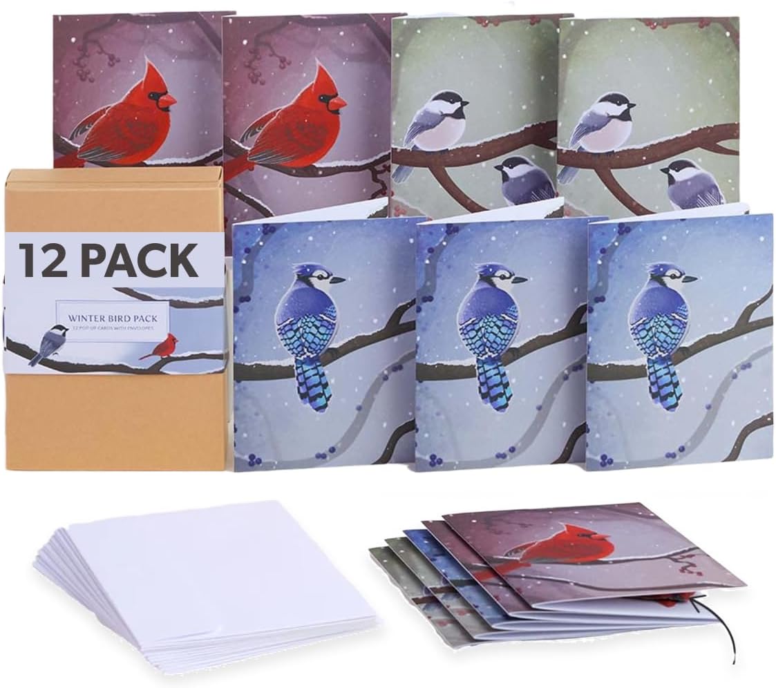 Amazon.com : Lovepop Winter Bird Box Set (Assorted 12-Pack) Pop-Up Card for Her and Him - 3D ...