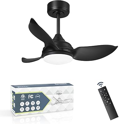 Amazon.com: Small Ceiling Fans with Lights - 22" Modern Ceiling Fan ...