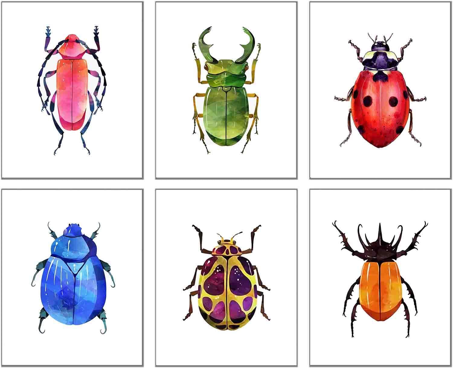 Amazon.com: Colorful Insect Wall Art Prints,Ladybug Beetle Art Poster ...