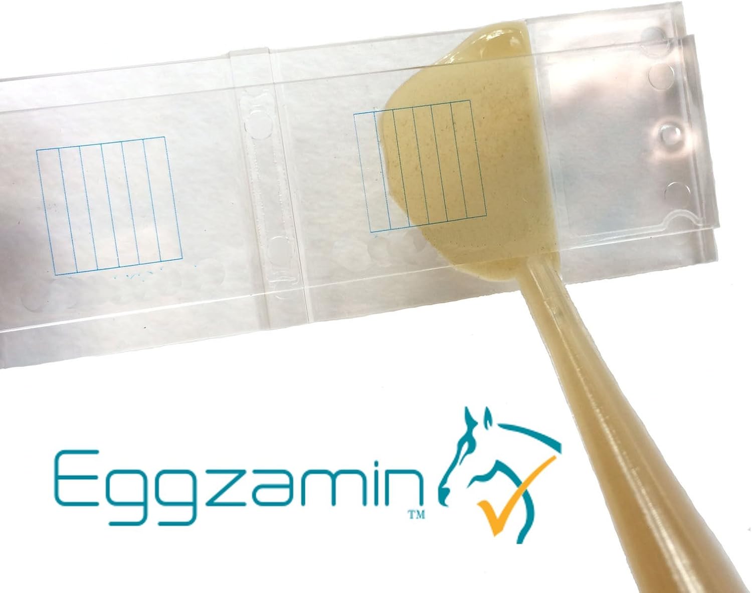 Microscope Slide for Parasite Testing - FEC Fecal Australia | Ubuy