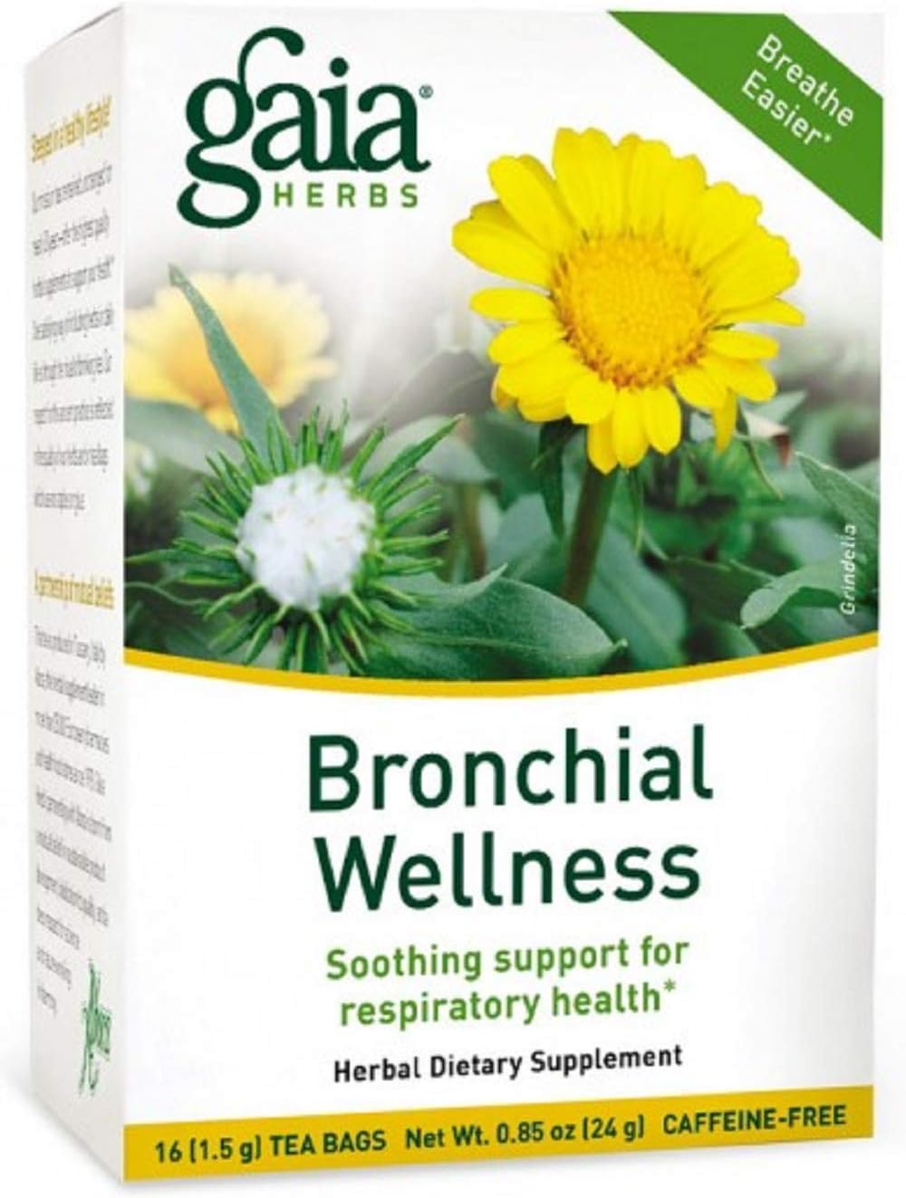 Amazon.com: Gaia Herbs Bronchial Wellness Herbal Tea, 16 Tea Bags ...