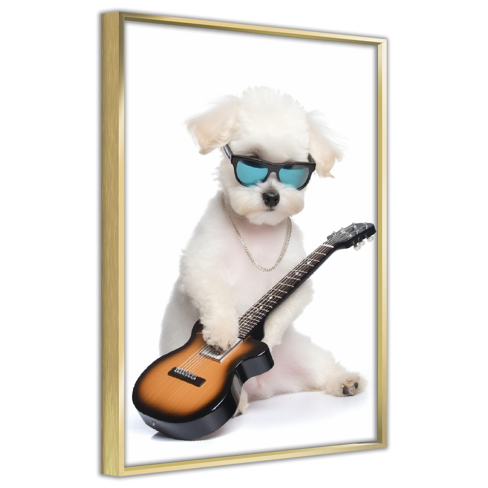 Rock Star As A Puppy