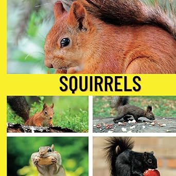 Squirrels: Toddler Book About Squirrels with Over 100 Real Photographs ...