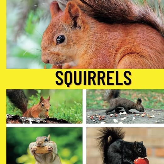 Squirrels: Toddler Book About Squirrels with Over 100 Real Photographs ...