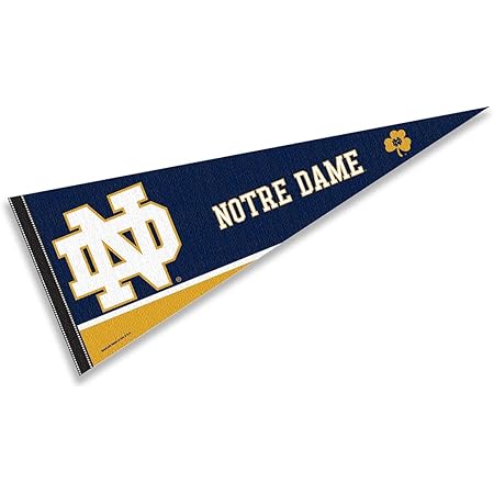 Amazon.com : Northeastern University Pennant Full Size Felt : Sports ...