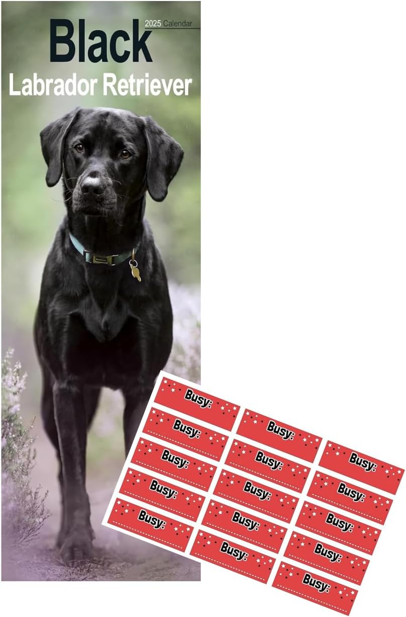 Black Labrador Retriever Slim Calendar 2025 | Dog Breed Slimline ...