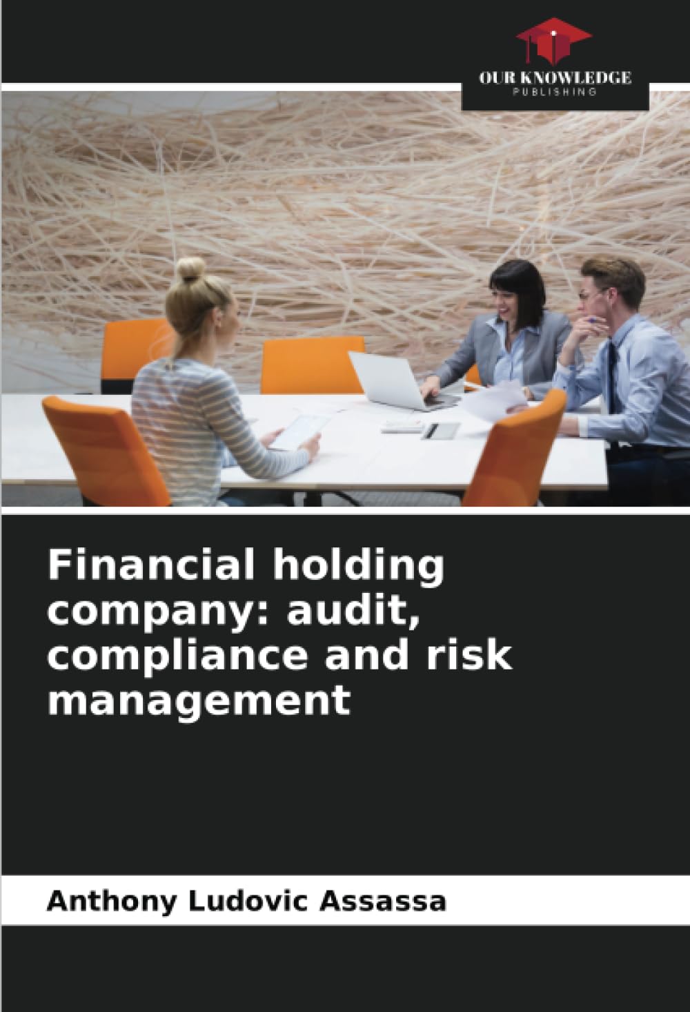 Financial holding company: audit, compliance and risk management ...