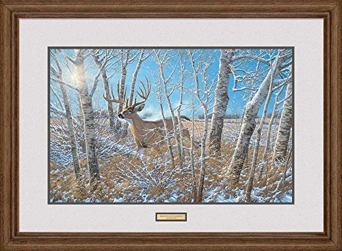 The Glory Days; The Hanson Buck - Whitetail Deer Framed Limited Edition ...