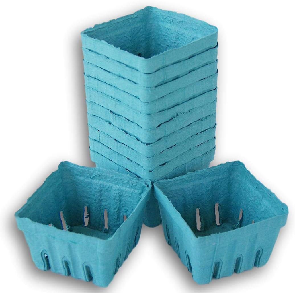 Square Berry Baskets Green Biodegradable – Pack of 12 (Pints) – BigaMart