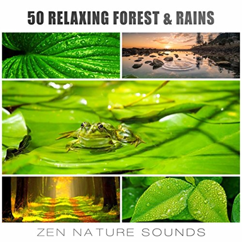 Play 50 Relaxing Forest & Rains: Zen Nature Sounds, Gentle Winds for ...