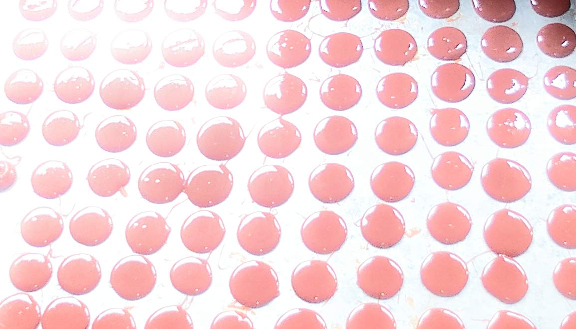 Pmw - Grade A Quality - Shellac - Button Lac - 1 Kilo : Amazon.in ...