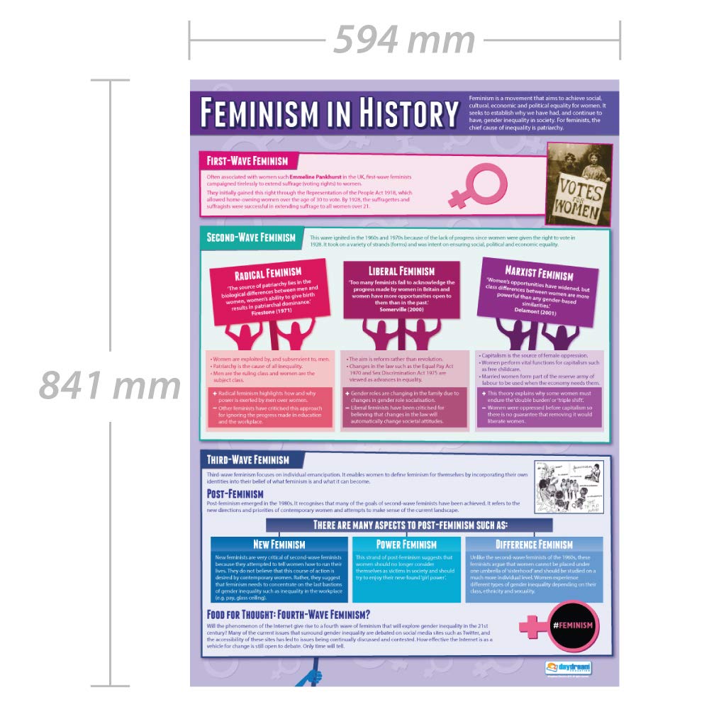 Feminism In History Sociology Posters Gloss Paper Measuring 850mm X ...