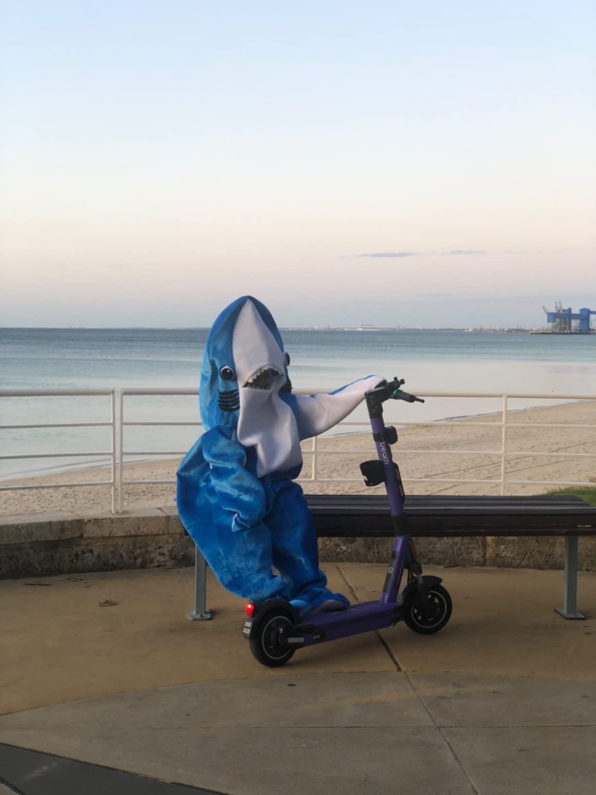 Katy Perry Left Shark Adult Plus Costume (XX-Large) Blue : Amazon.com ...