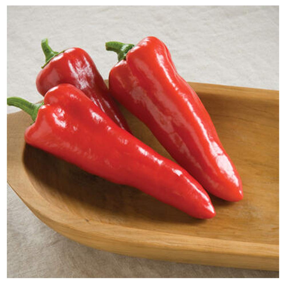 PlantFiles Pictures: Bull's Horn Chile Pepper, Cowhorn Pepper 'Corno Di ...