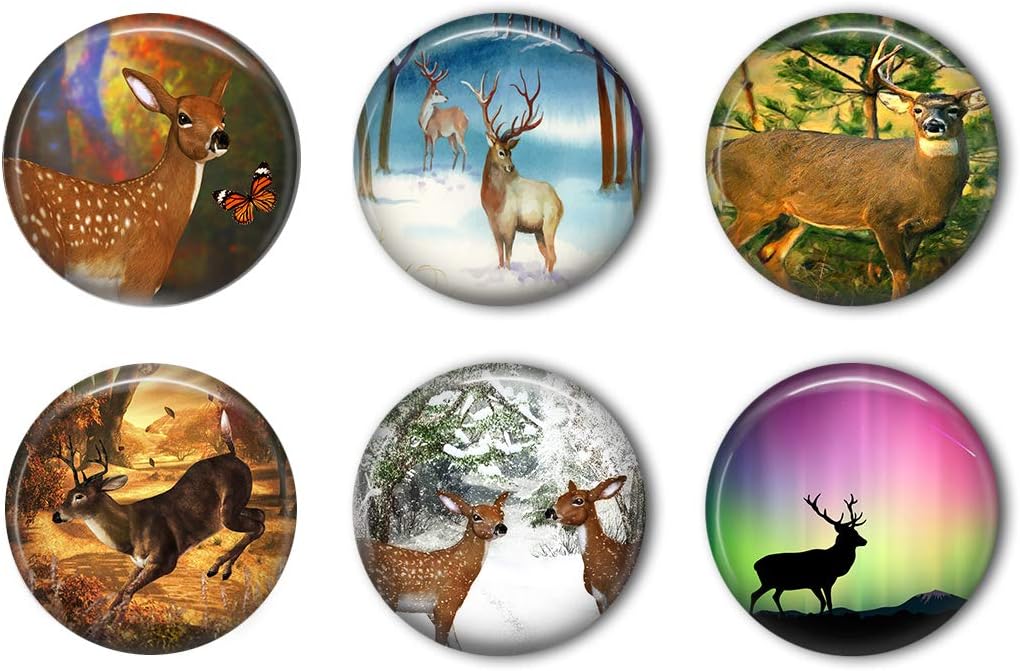 Amazon.com: Woodland Deer Refrigerator Magnet Set : Home & Kitchen