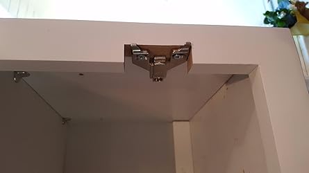 Blum 170 Degree Face Frame Hinge: Cabinet And Furniture Hinges: Amazon ...