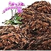 Amazon.com : AVALUTION Orchid Potting Bark-29QT Organic Orchid Bark for ...