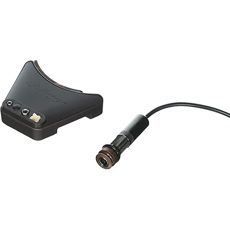 Amazon.com: L.R. Baggs Session-VTC Undersaddle Acoustic Guitar Pickup ...