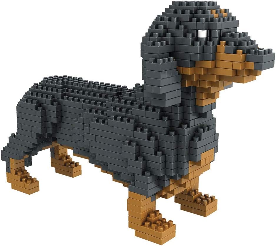 Amazon.com: Bits and Pieces - Dachshund 3-D Block Puzzle - Dog Breed ...