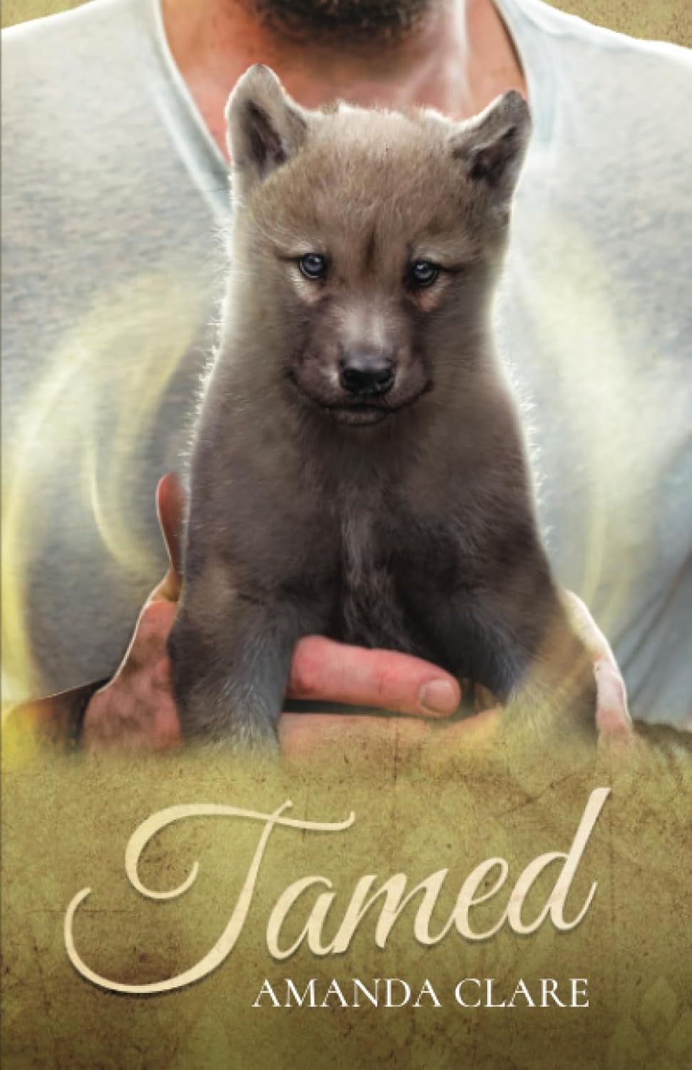 The Werewolf Nanny: Amazon.co.uk: Clare, Amanda: 9798565067835: Books
