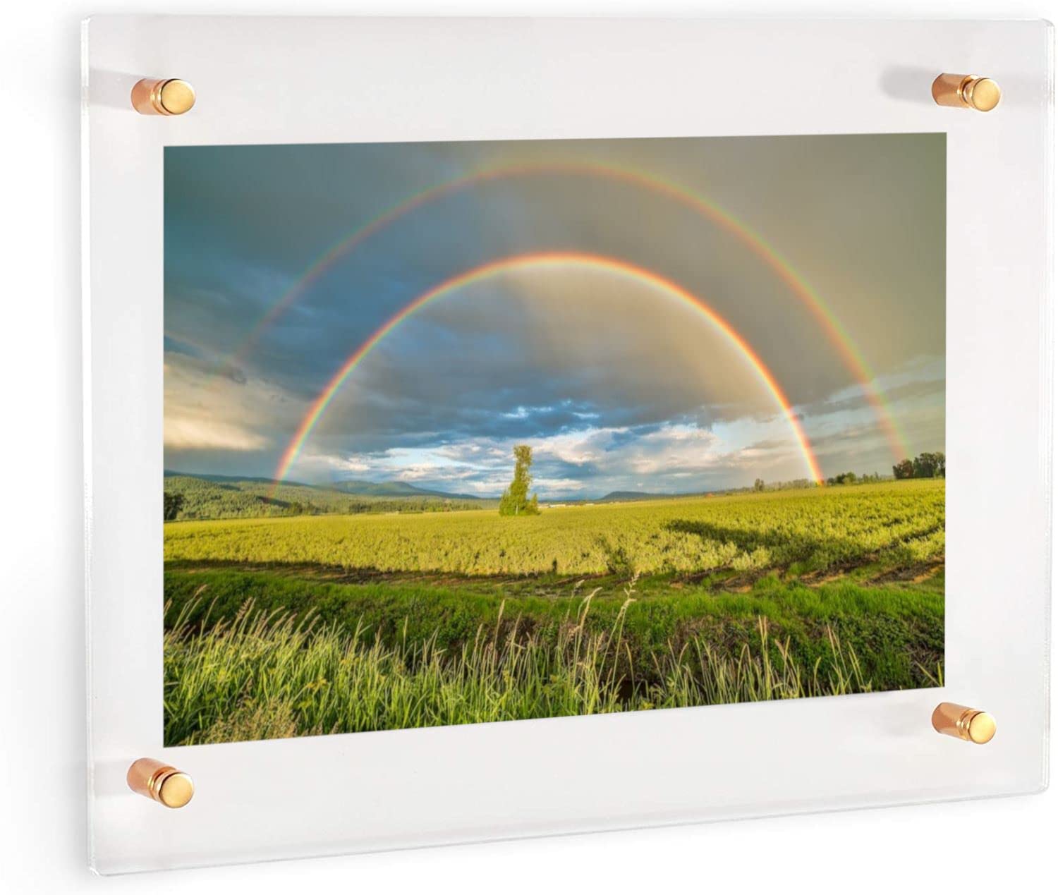 Amazon.com - (18" x 24") Clear Acrylic Wall Mount Floating Picture ...