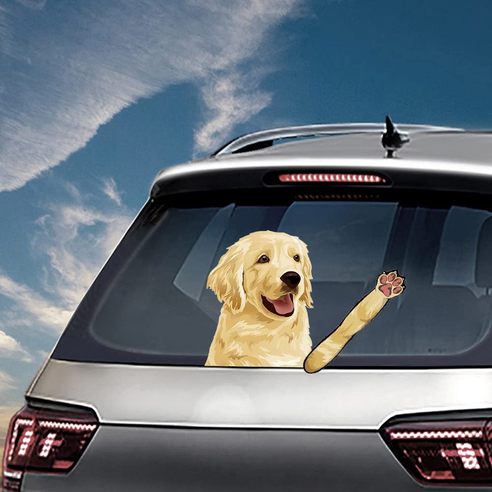 Dog With His Arm Out The Window