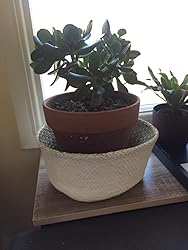 Amazon.com: Leepes Woven Seagrass Belly Basket for Storage, Laundry ...
