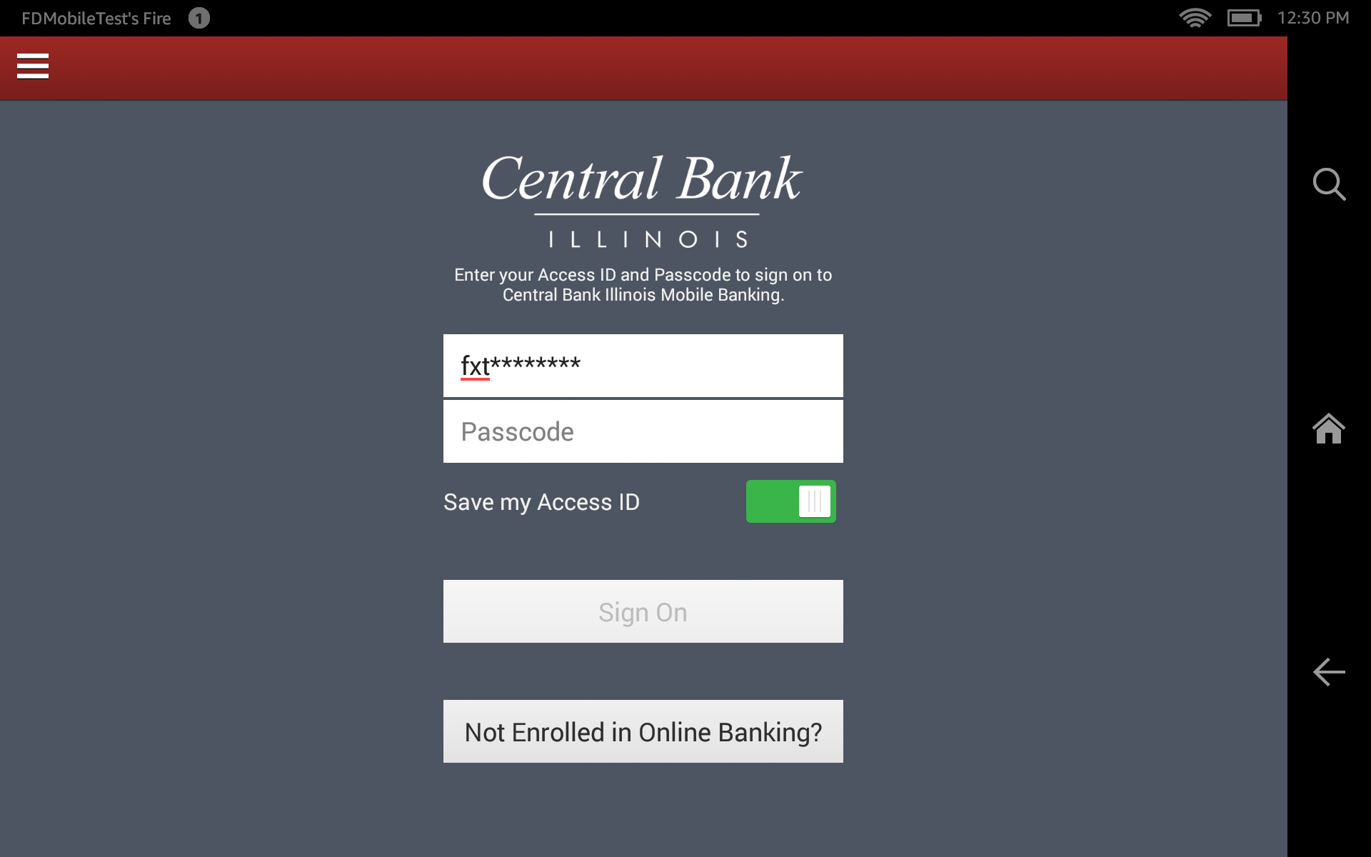 Central Bank Illinois Logo