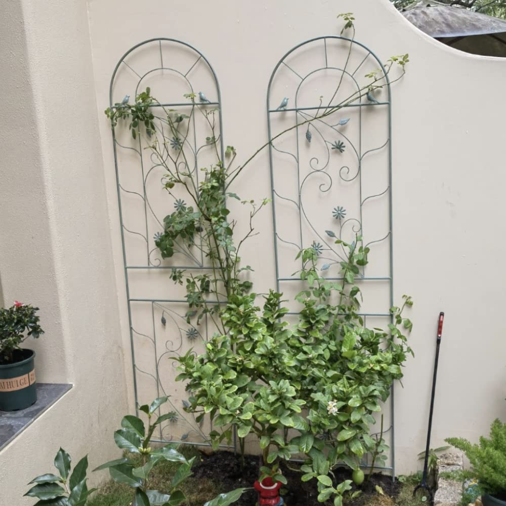 Green Trellis Mounting Bracket Pergola Wire Trellis For The Perfect
