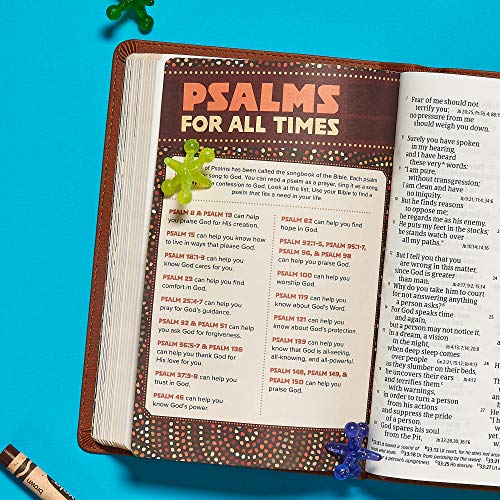 Snapklik.com : CSB Kids Bible, Lion LeatherTouch, Red Letter ...